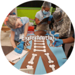 ArtsNOW | We Bring Learning to Life Through Arts-Integrated Learning